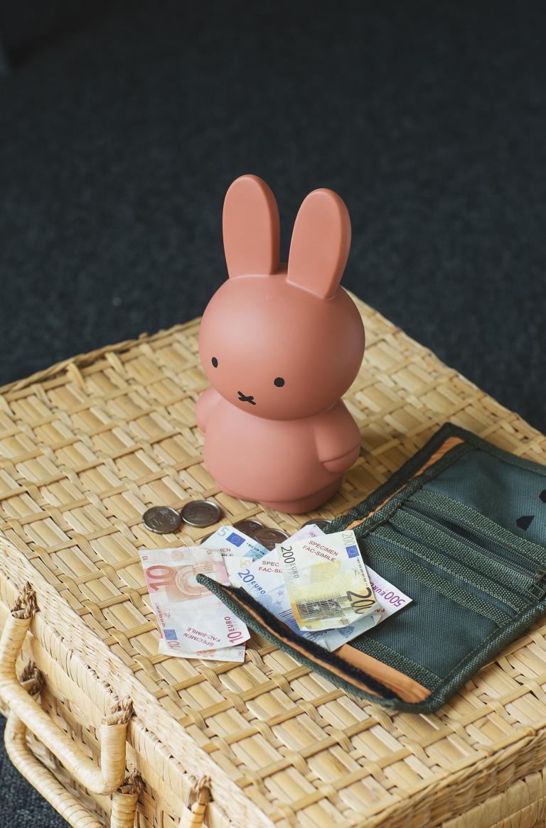 Atelier Pierre – Spaarpot nijntje – Terra medium – Little Stork